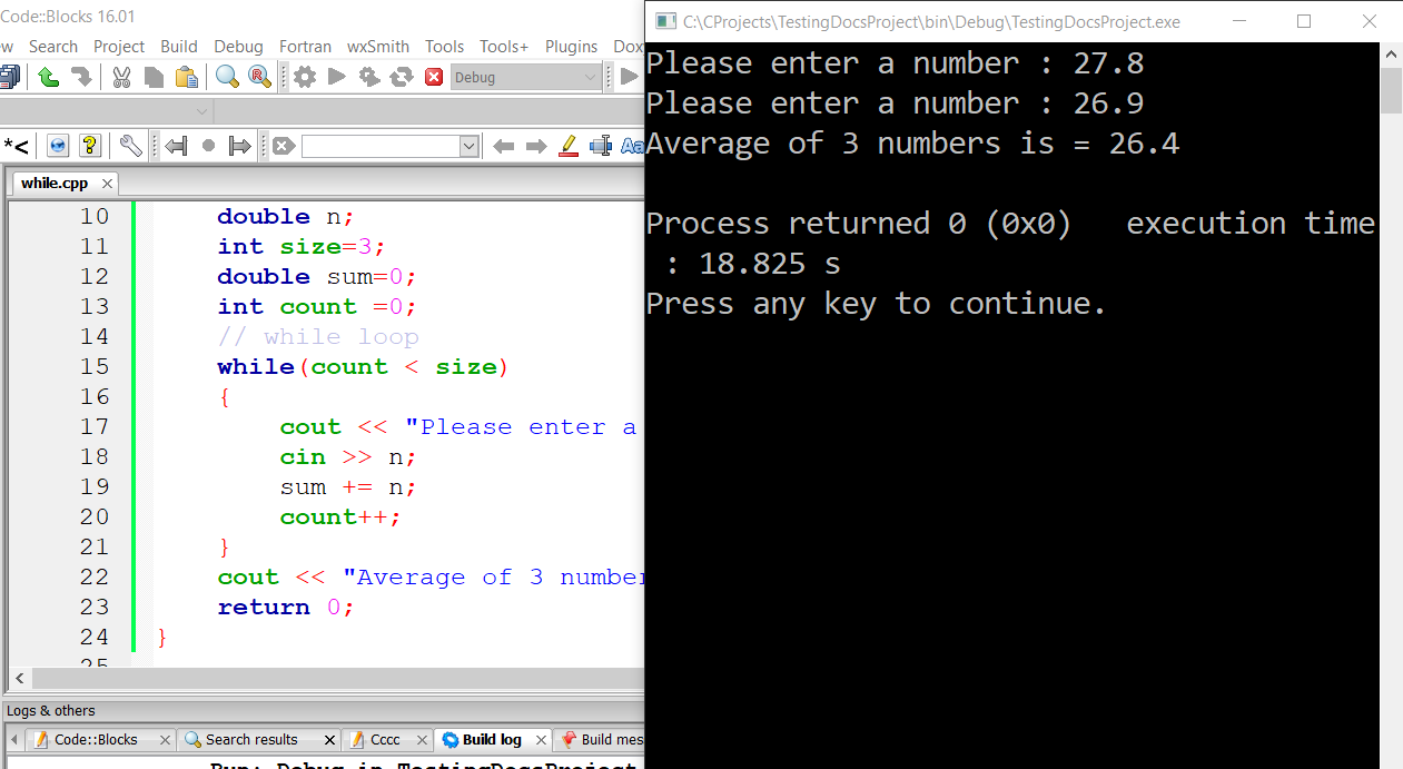 C While Statement TestingDocs