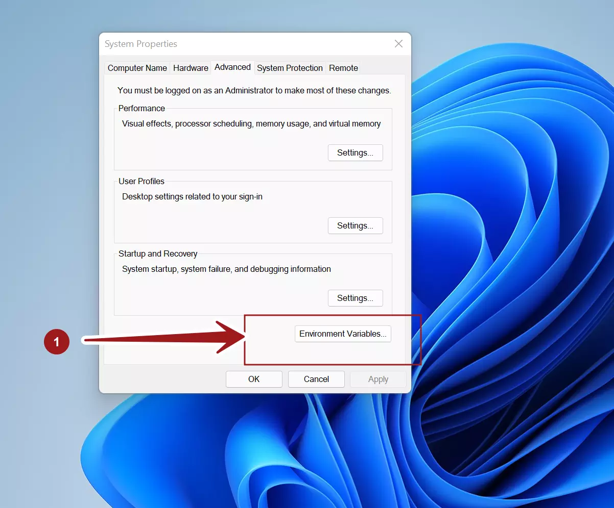 Windows 11 environment variables Windows 11 environment variables
