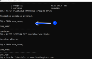 Connect to Pluggable Database (PDB) - TestingDocs