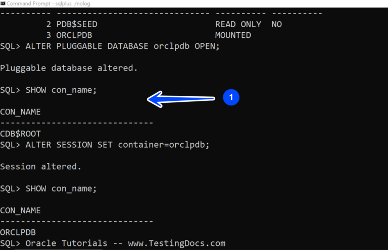 Connect to Pluggable Database (PDB) - TestingDocs