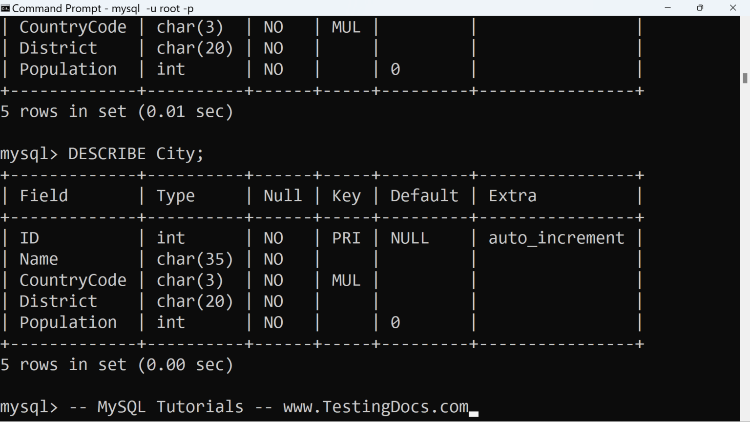 SQL statement to view the table columns and settings - TestingDocs.com