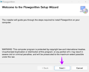Flowgorithm Setup Wizard - TestingDocs.com