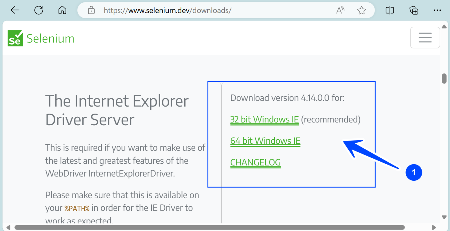 Internet Explorer Driver - TestingDocs.com