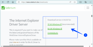 Internet Explorer Driver - TestingDocs.com