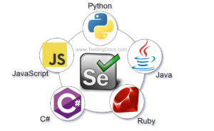 Selenium Python Course - TestingDocs.com