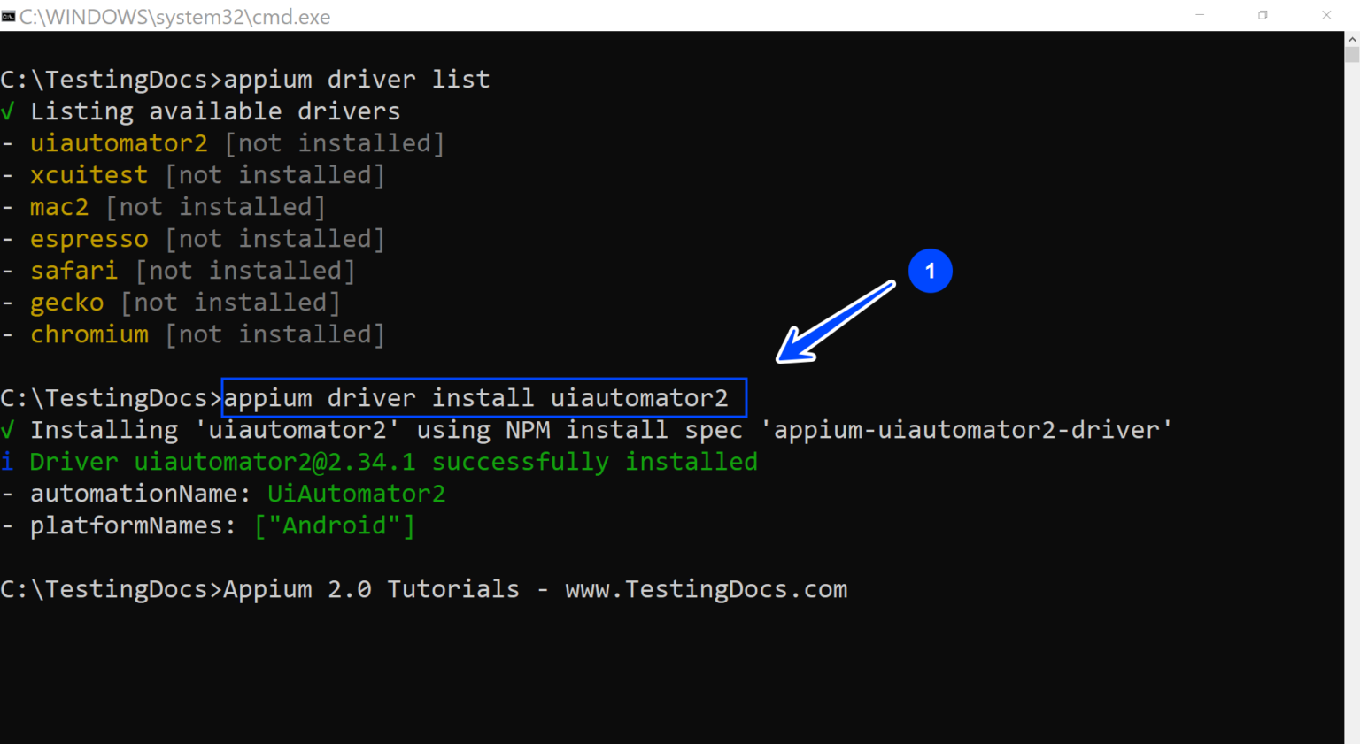 Appium 2.0 Driver Installation - TestingDocs