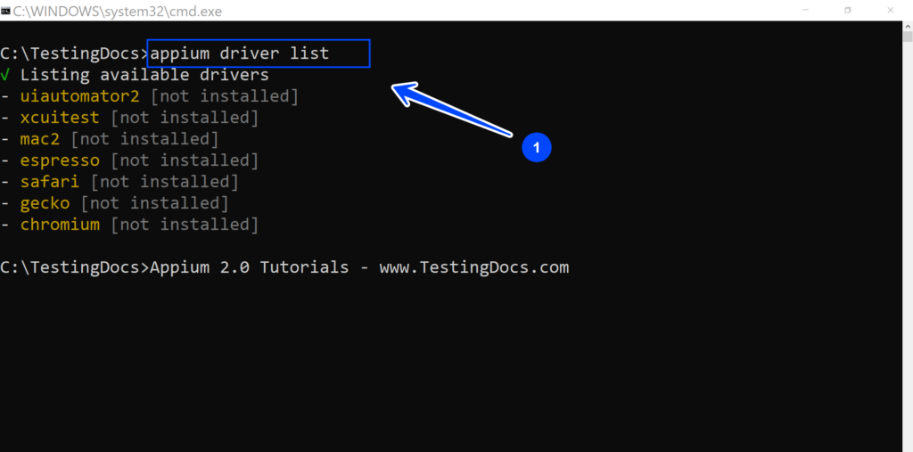 Appium 2.0 Driver Installation - TestingDocs