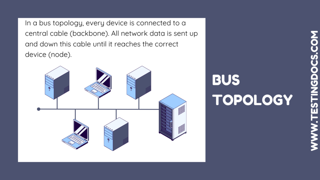 LAN Network Topologies - TestingDocs