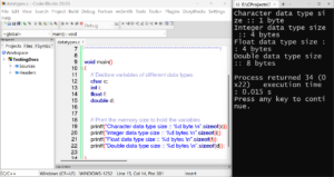 C Basic Data types - TestingDocs