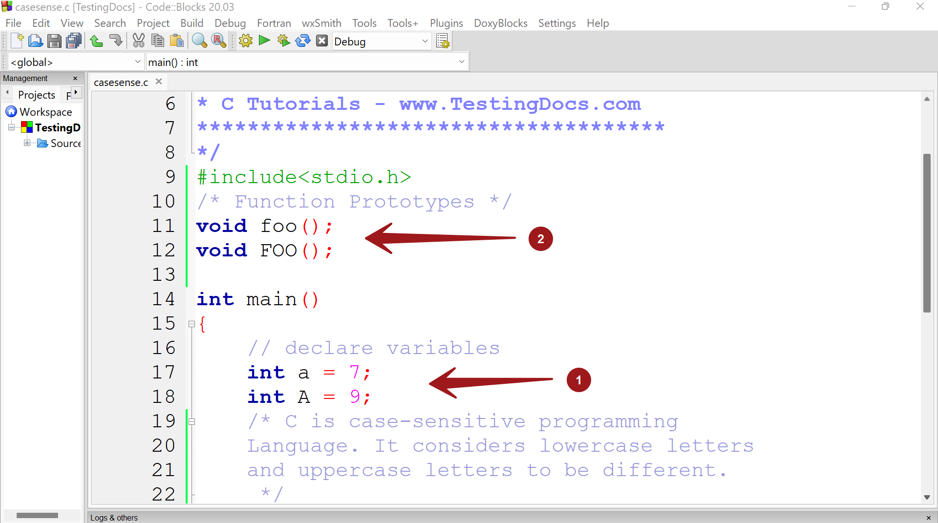 C Case Sensitive Programming Language TestingDocs
