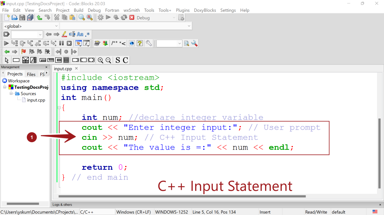 C Input Statement TestingDocs