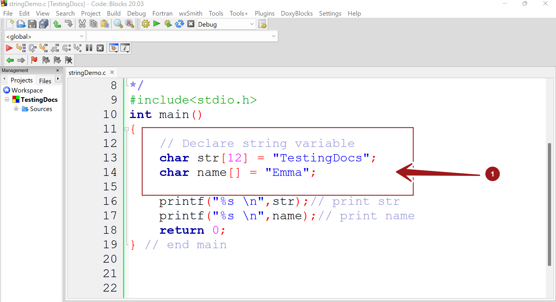 C Strings TestingDocs