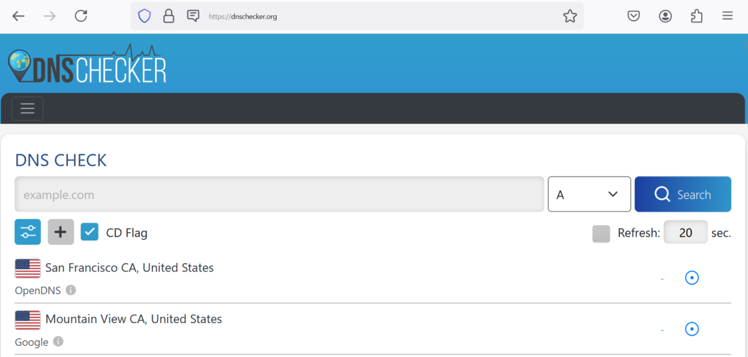 How to Check DNS Propagation? - TestingDocs