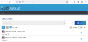 How to Check DNS Propagation? - TestingDocs