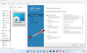 Download & Install MySQL on Windows 11 - TestingDocs