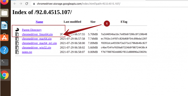 Download Google ChromeDriver on Ubuntu - TestingDocs