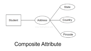 Types of Attributes in DBMS | TestingDocs