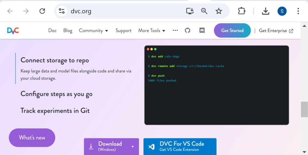 DVC (Data Version Control) - TestingDocs