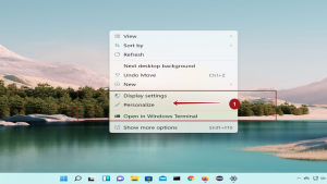 Install New Windows 11 Desktop Themes - TestingDocs