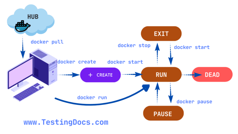 Docker Container Life Cycle - TestingDocs