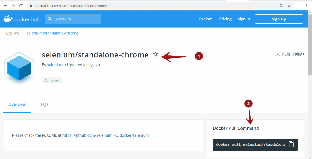 Run Selenium Test On Docker Container 2024