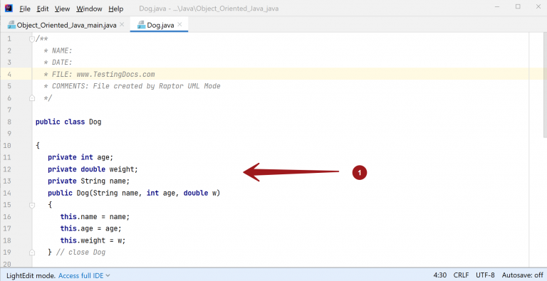 Generate Java code from RAPTOR - TestingDocs