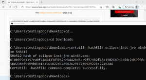 Install Eclipse IDE on Windows 11 - TestingDocs
