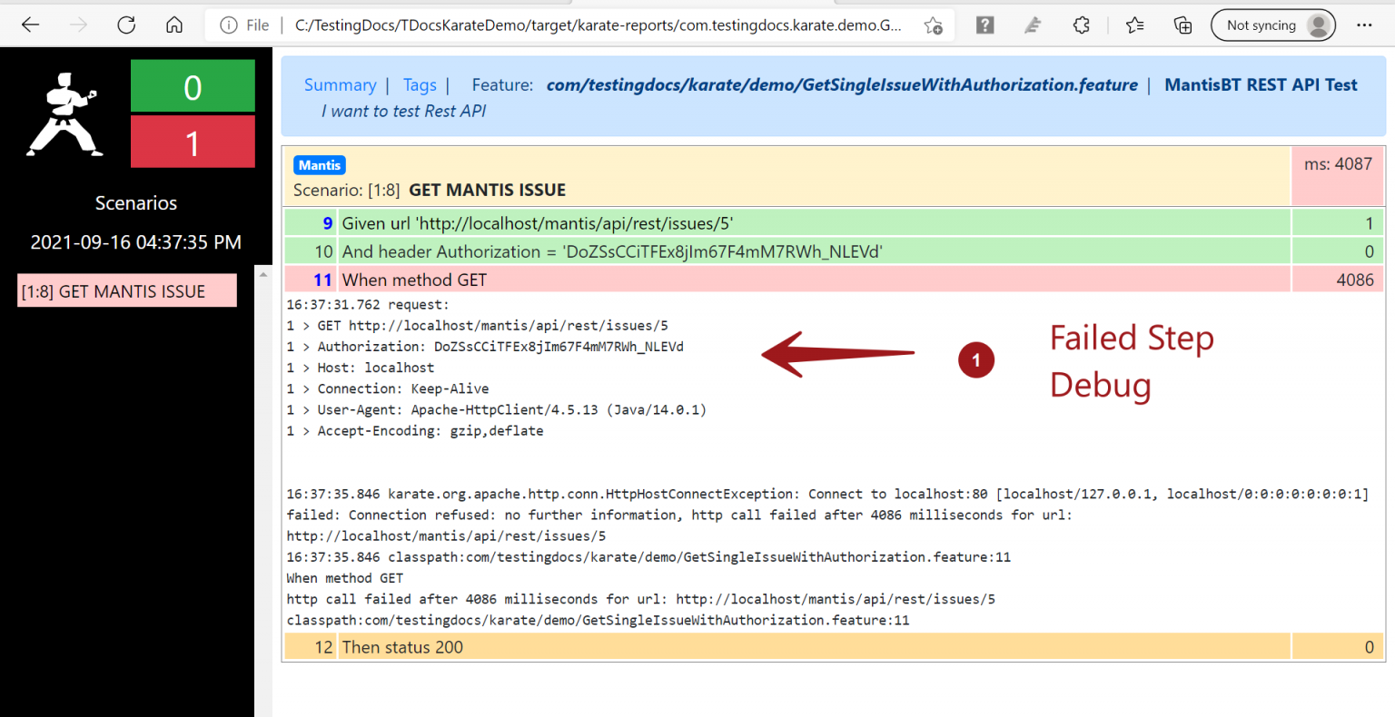 Karate API Automation Reports - TestingDocs