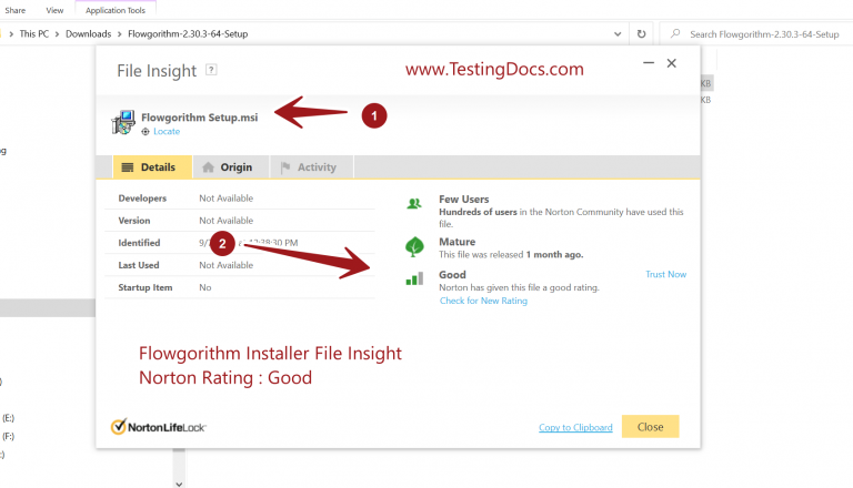 Flowgorithm Download on Windows - TestingDocs