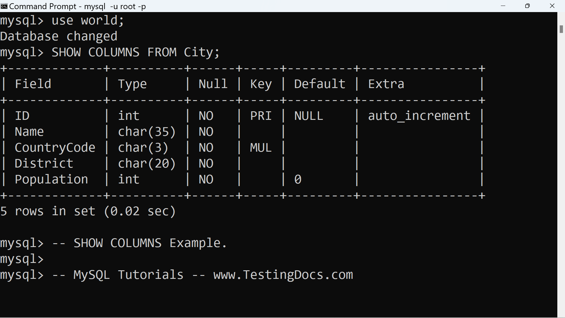MySQL Database Metadata TestingDocs