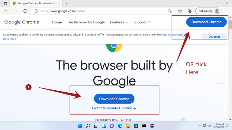 Install Google Chrome on Windows 11 | TestingDocs