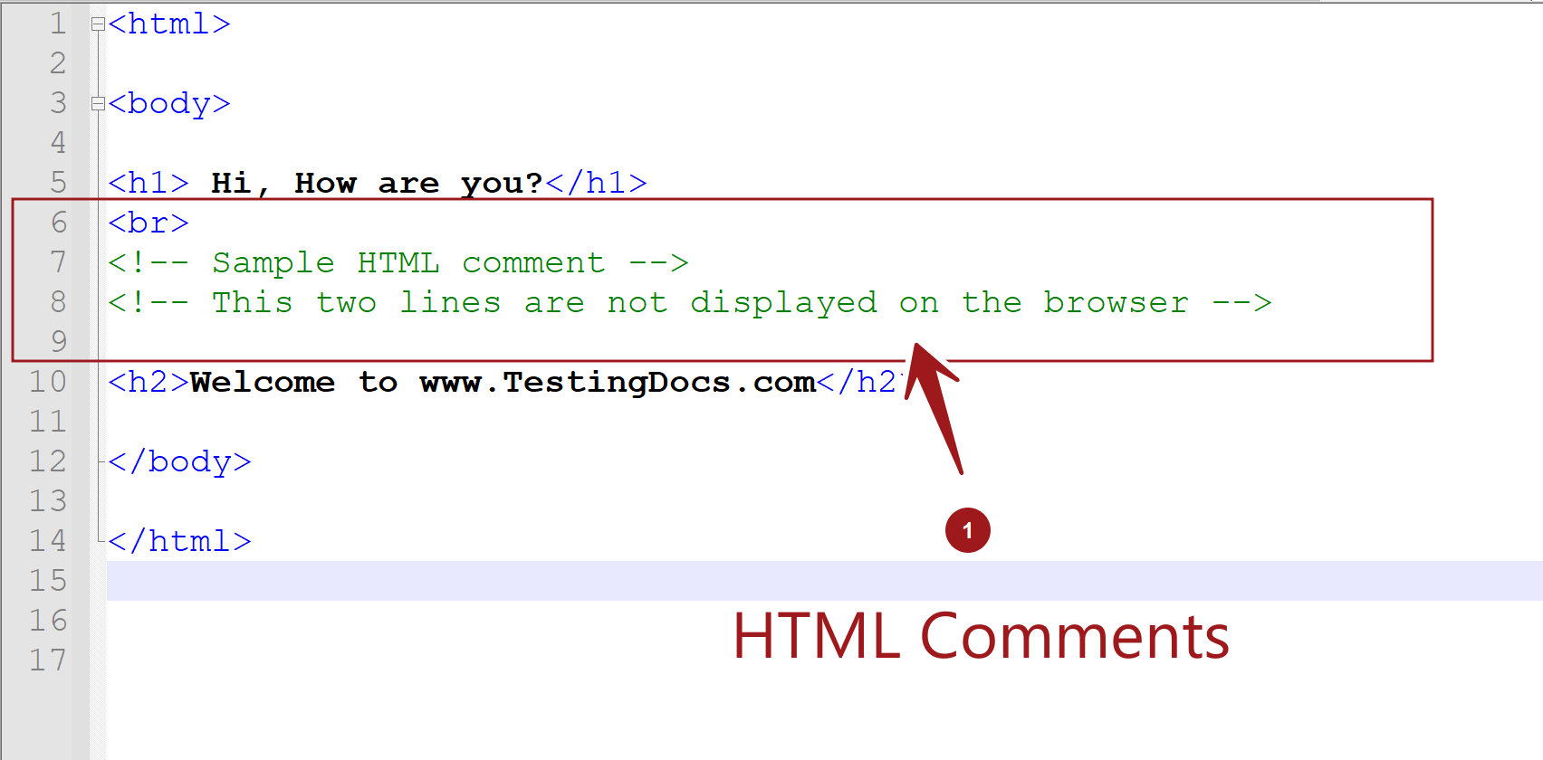 HTML Comments TestingDocs