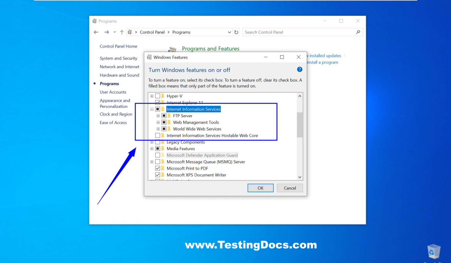 Internet Information Services (IIS) - TestingDocs
