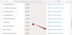 Download and Install Java JDK - TestingDocs.com