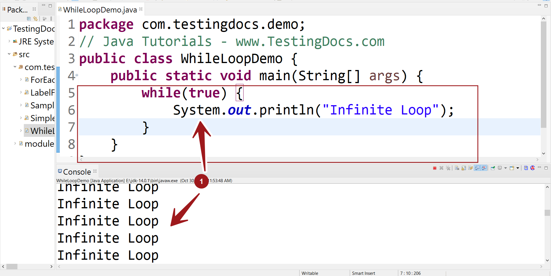 Java While Loop Statement TestingDocs