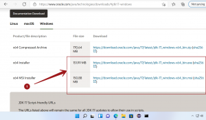 Install Java on Windows 11 - TestingDocs