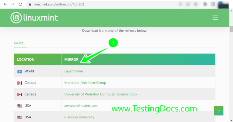 Install Linux Mint Cinnamon - TestingDocs