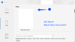 MS Word Introduction - TestingDocs
