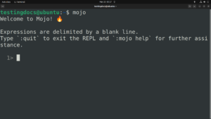 Mojo REPL Environment - TestingDocs