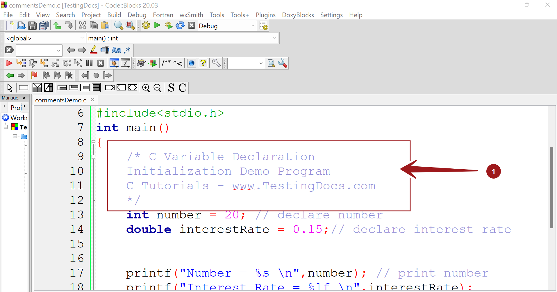 C Comments TestingDocs