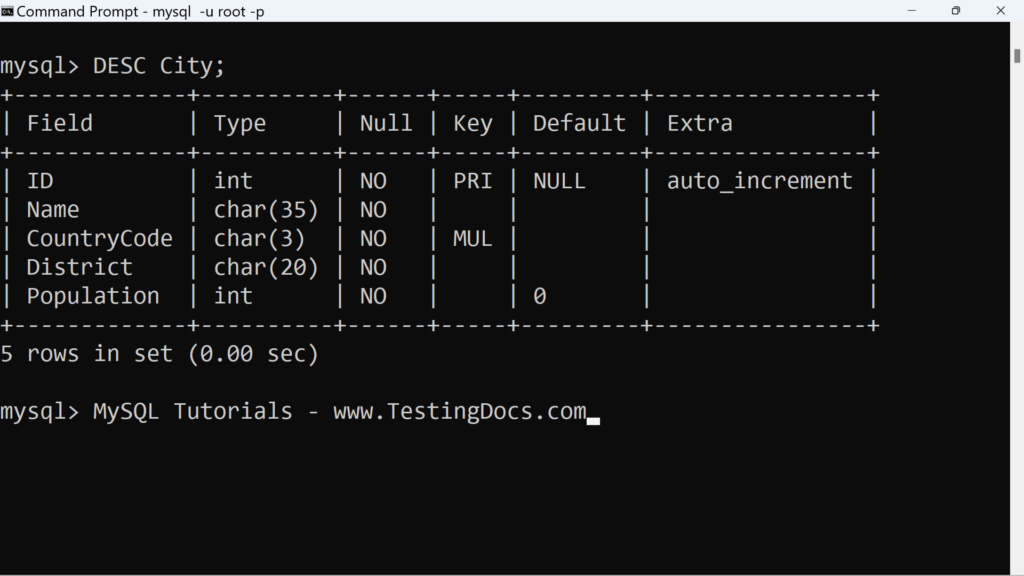 MySQL DESCRIBE Statement TestingDocs