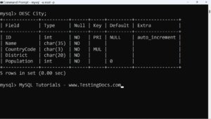 MySQL DESCRIBE Statement - TestingDocs