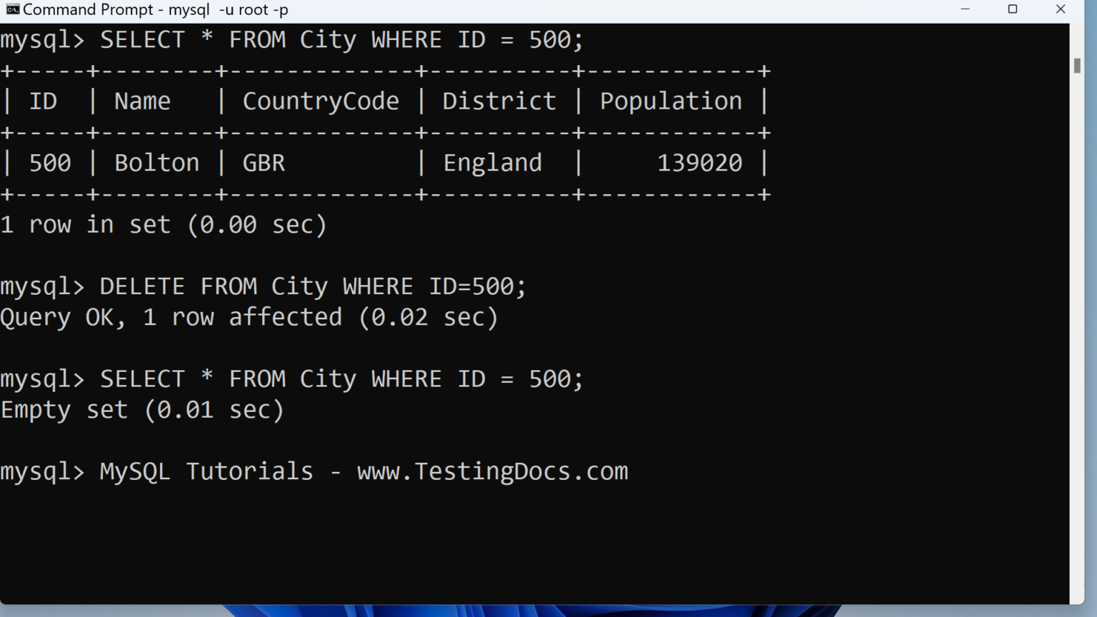 MySQL DELETE Statement TestingDocs