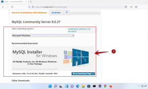 Download & Install MySQL on Windows 11 - TestingDocs