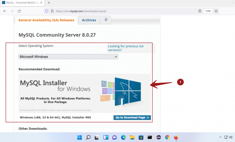 Download & Install MySQL on Windows 11 - TestingDocs