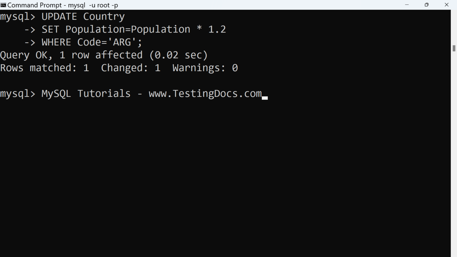 MySQL UPDATE Statement TestingDocs