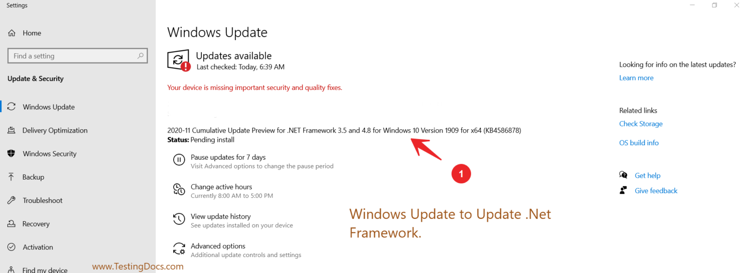 .NET Framework Install for RAPTOR - TestingDocs