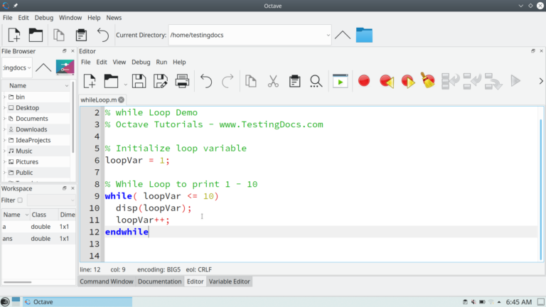 Octave while Statement - TestingDocs.com
