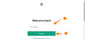 OpenAI API Keys - TestingDocs