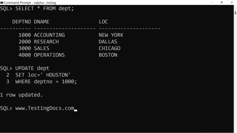 Oracle SQL Update Statement TestingDocs